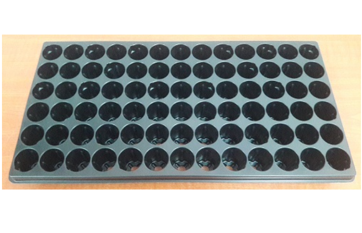 Jiffy Plug Tray – GoHydro.co.za
