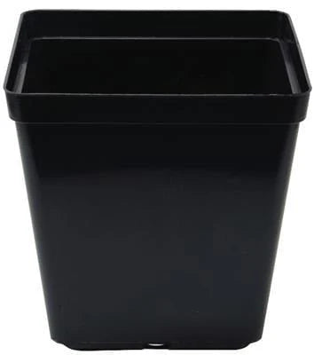 Square Plastic Pots – GoHydro.co.za